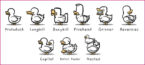 All Ducks in Clusterduck - Try Hard Guides