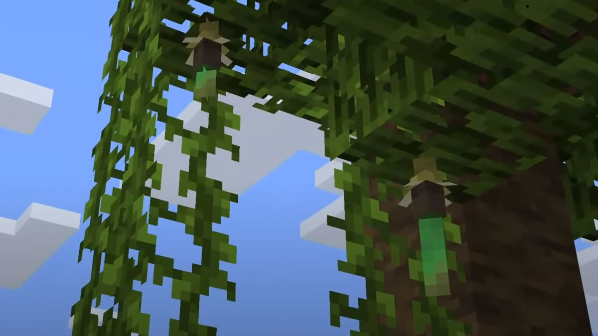 Minecraft Mangrove Tree Guide - All Known Information! - Try Hard Guides