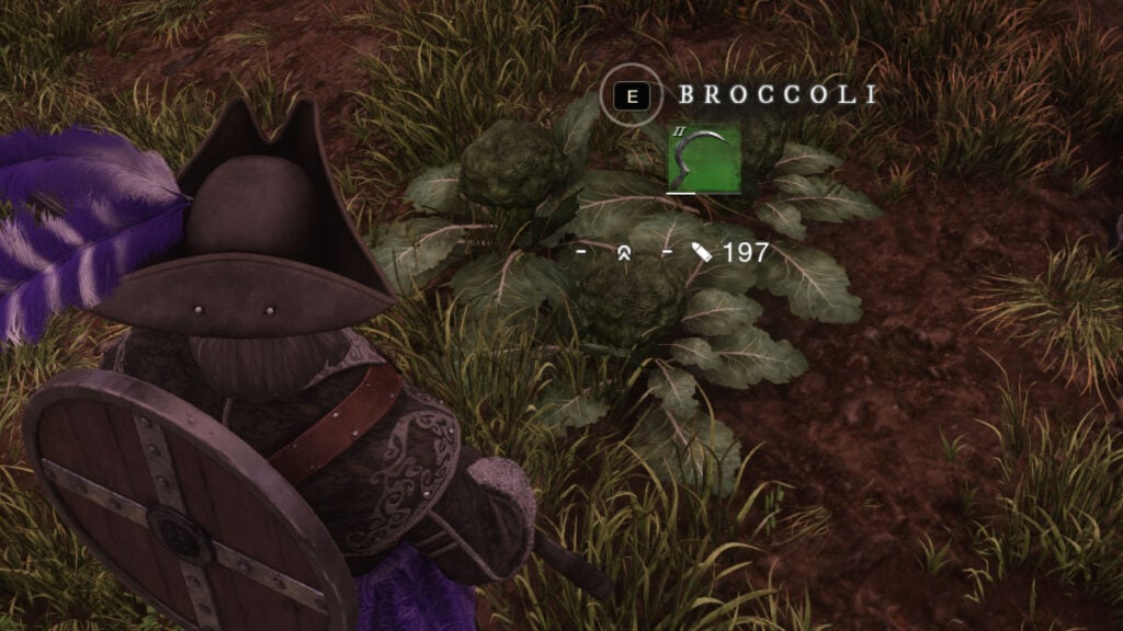 New World Broccoli Locations, Spawns, & Recipes - Try Hard Guides