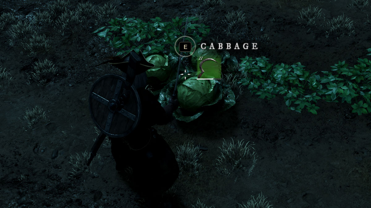 Where to Find Cabbage in New World (Locations & Recipes) - Try Hard Guides