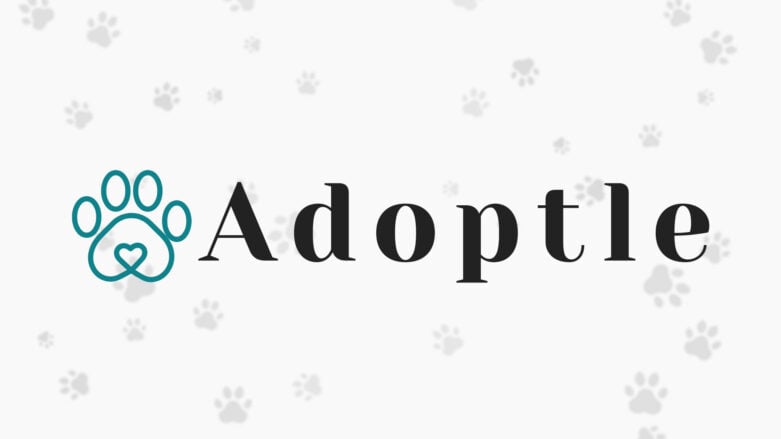Announcing Adoptle, a daily game highlighting adoptable pets! - Try Hard Guides