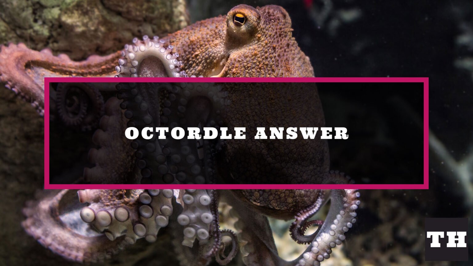 Octordle April 4 2022 Answer (4/4/22) - Try Hard Guides