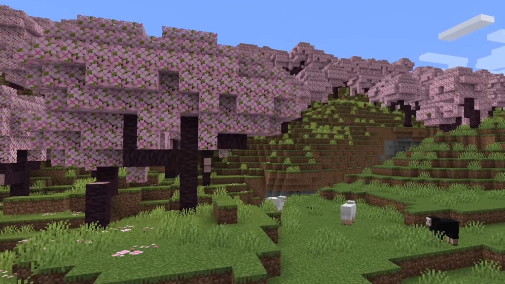Minecraft 1 20 Trails And Tales Update Brings Cherry Blossom Biomes Minecraft 1 20 Trails And Tales Update Brings Cherry Blossom Biomes