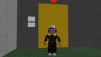 Roblox Puzzle Doors Answers [All Stages & Levels] - Try Hard Guides