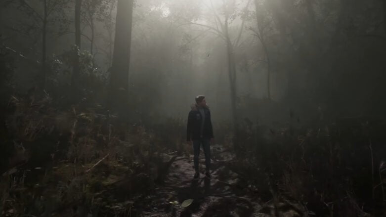 Stray Souls Enlists Silent Hill's Akira Yamaoka as Guest Composer - Try ...