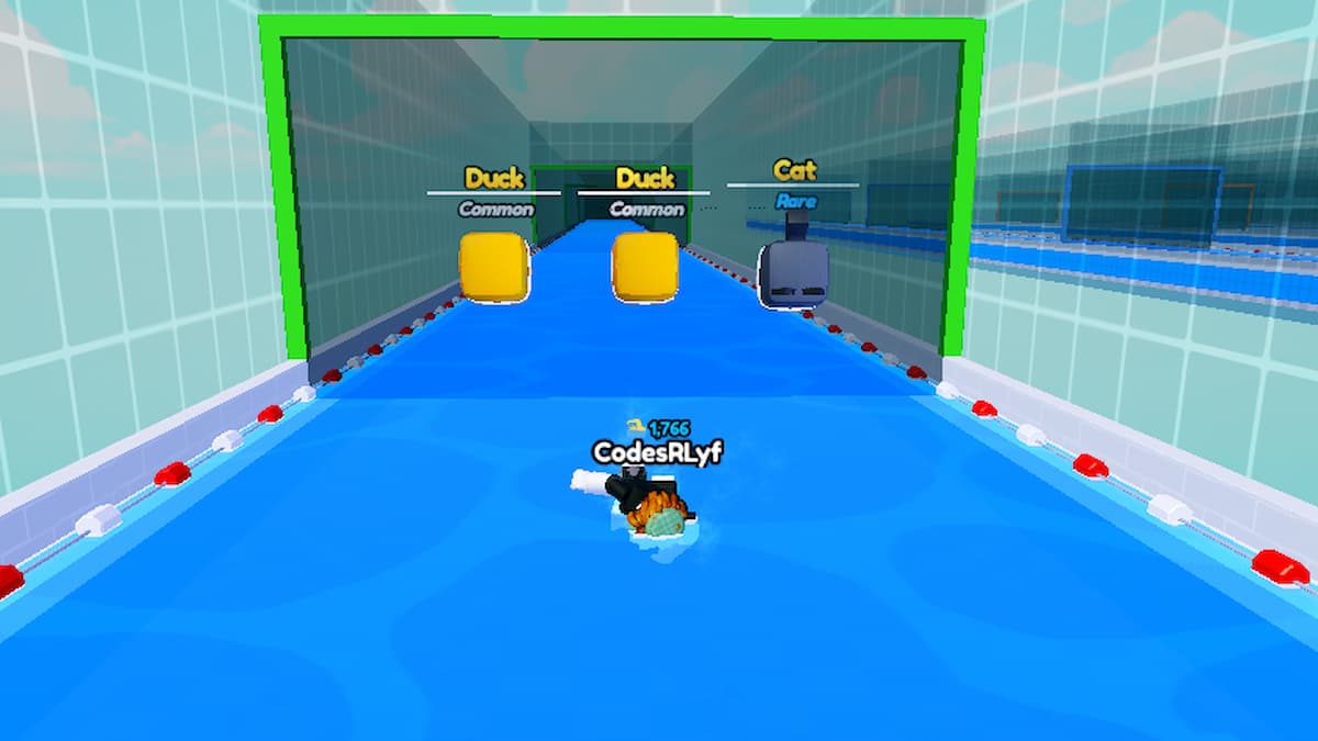 Swimming Race Simulator Codes for December 2025: Wins, Boosts, & Speed ...