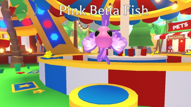 All New Pets Coming in the Summer State Fair Event in Adopt Me! (2024 ...