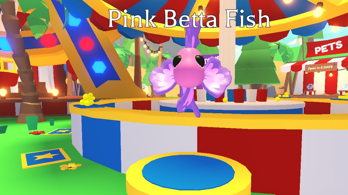 All New Pets Coming in the Summer State Fair Event in Adopt Me! (2024 ...