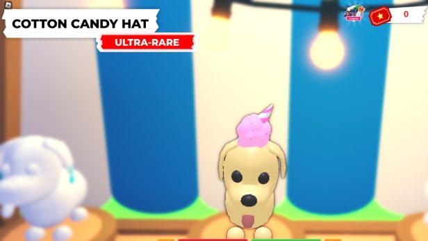 All Pet Accessories At Summer Fest in Adopt Me! - Try Hard Guides